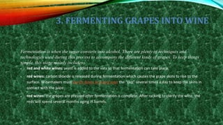 wine making process at sula wines, nashik. | PPTX