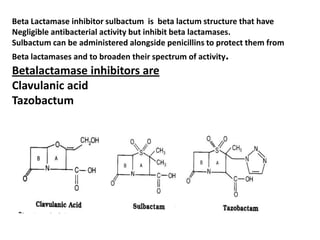 SULBACTAM -BETALACTAMASE INHIBITOR,INTRODUCTION,MECHANISM OF ACTION,SAR ...
