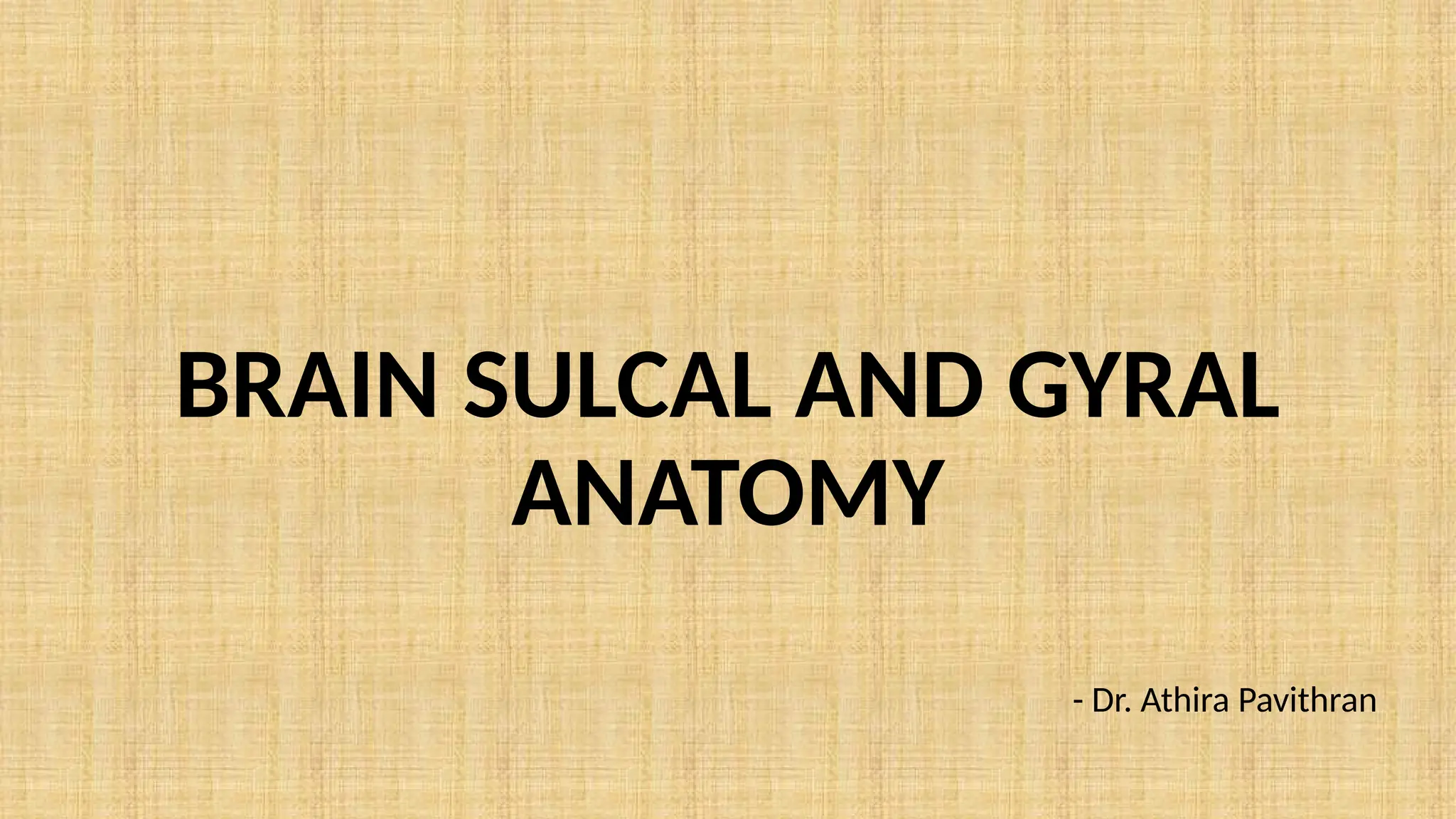 Sulcal and gyral of brain radioanatomy. | PPTX