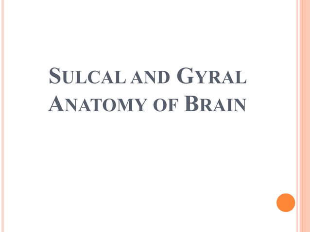 Sulcal and gyral neuroanatomy | PPTX | Brain and Nervous System ...