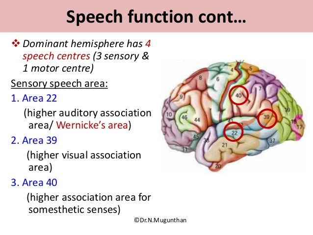 Sulci,Gyri & Functional areas of cerebrum Dr.N.Mugunthan.M.S