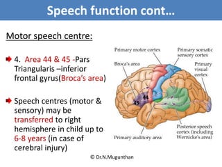 SULCI, GYRI & FUNCTIONAL AREAS OF CEREBRUM-Prof.Dr.N.Mugunthan KMMC.pdf