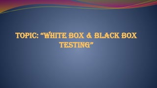 white box and black box testing in software engineering | PPTX