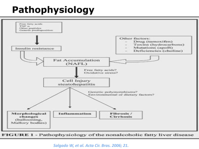 Sulfad in Controlling Fatty Liver, NASH in Obese Patients | PPT