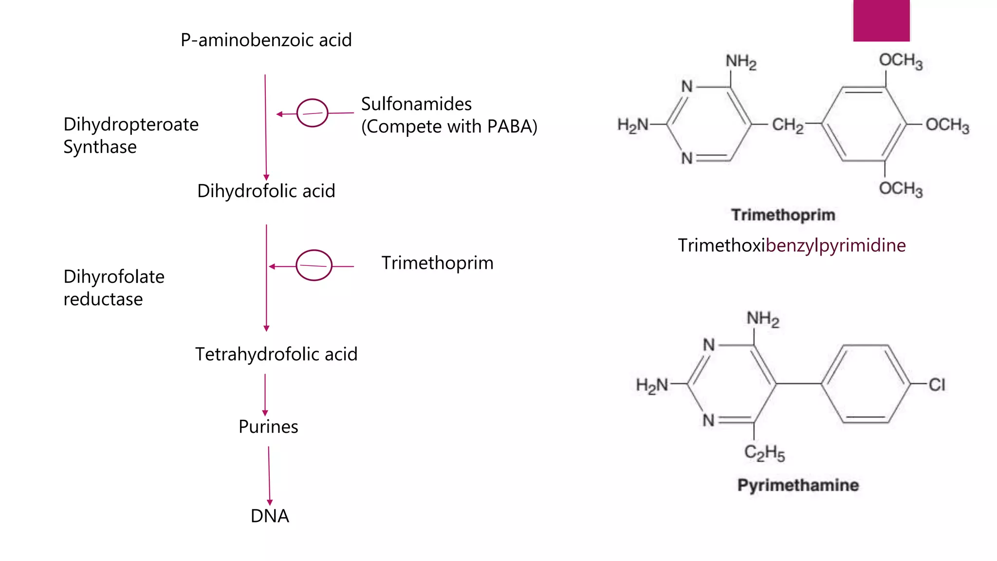 Sulfa drug- Mechanism of action-Resistance mechanism | PPTX