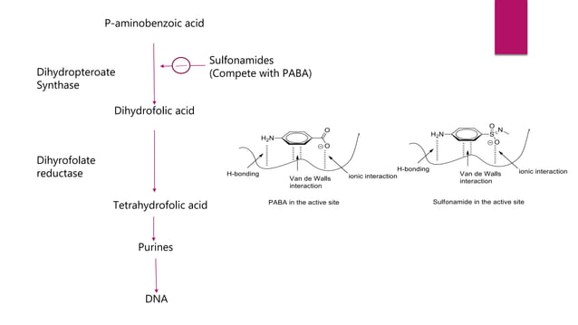 Sulfa drug- Mechanism of action-Resistance mechanism | PPTX