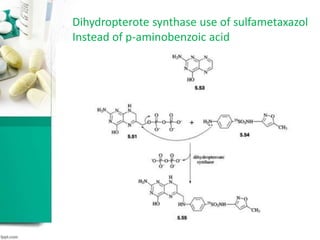 Sulfa drugs and mechanism of action | PPTX