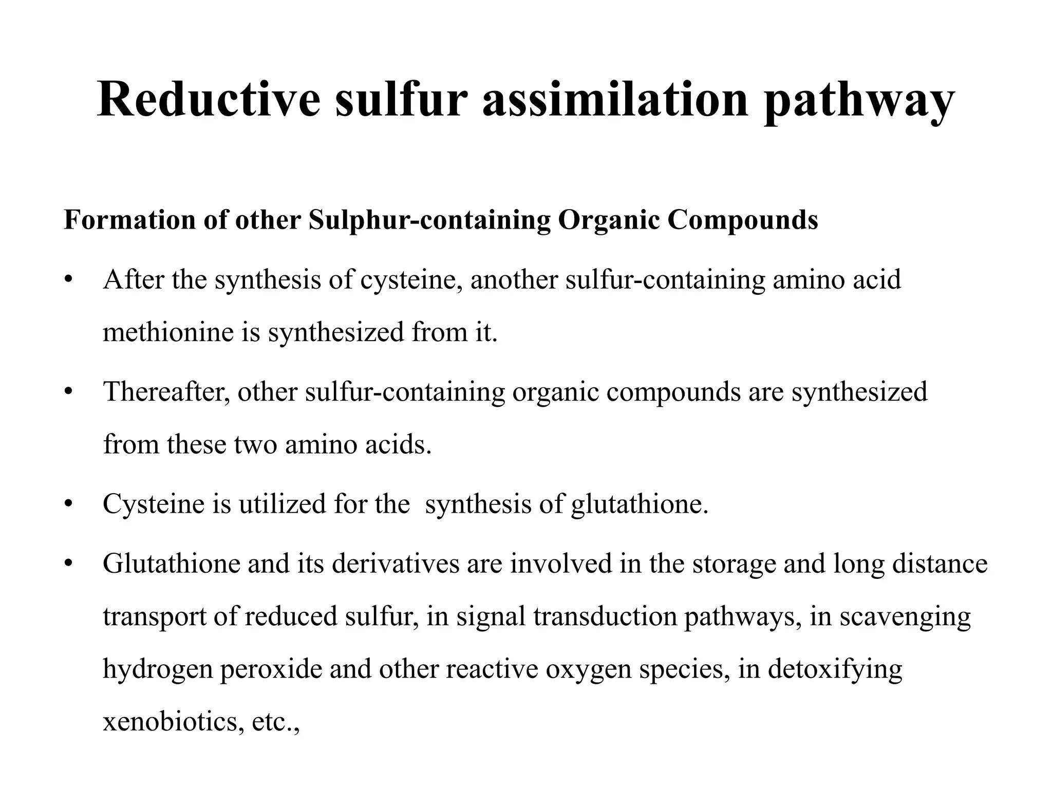 Sulfate assimilation | PPTX