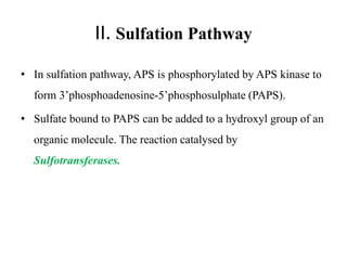 Sulfate assimilation | PPTX