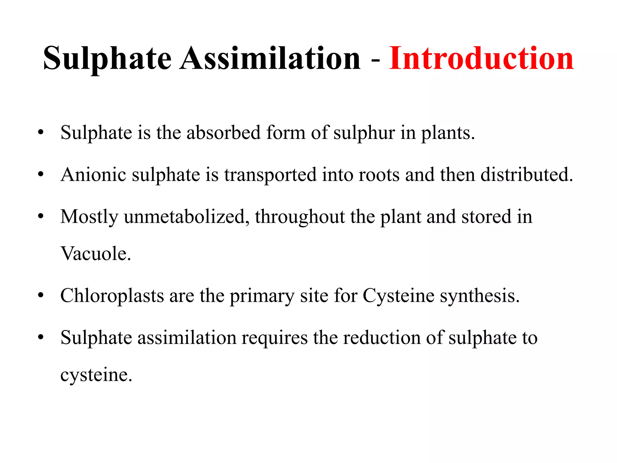Sulfate assimilation | PPTX