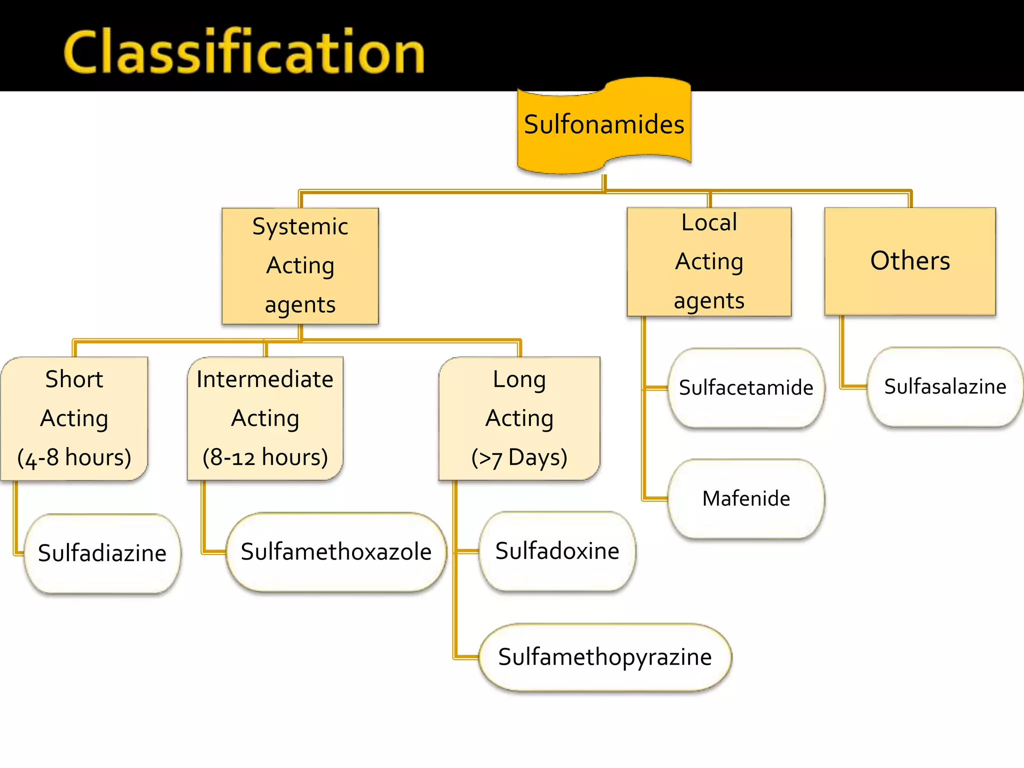Sulfonamide- AIMS.pptx