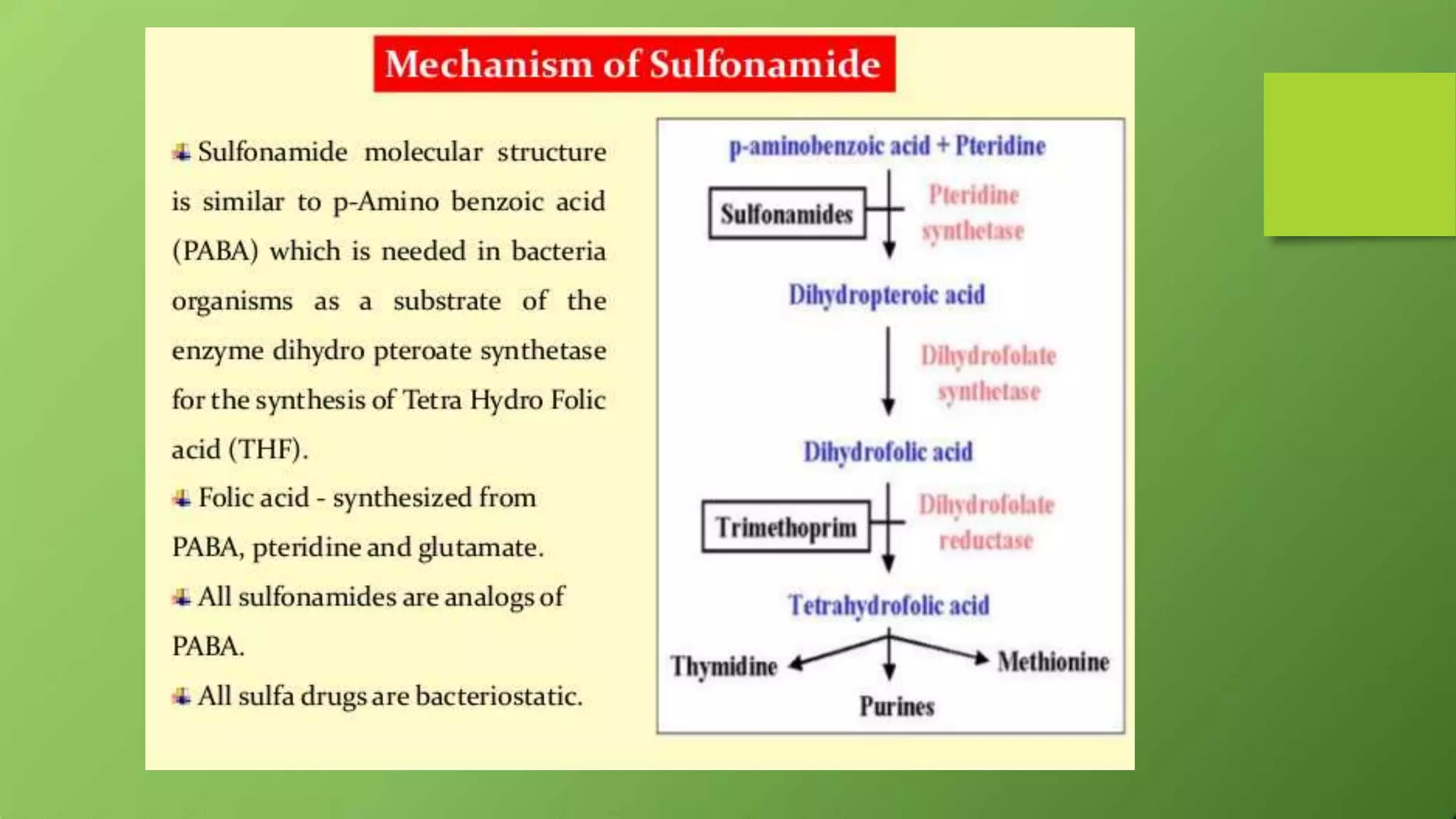 Pharmacology of Sulfonamides | PPTX