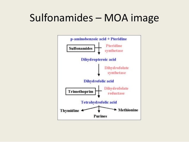 Sulphonamide - New