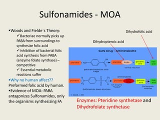sulfonamides and cotrimoxazole.pptx
