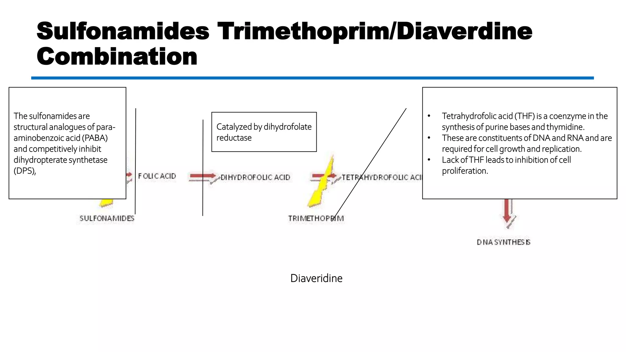 Sulfonamides and Sulfonamide Combinations Use in Animals.pptx