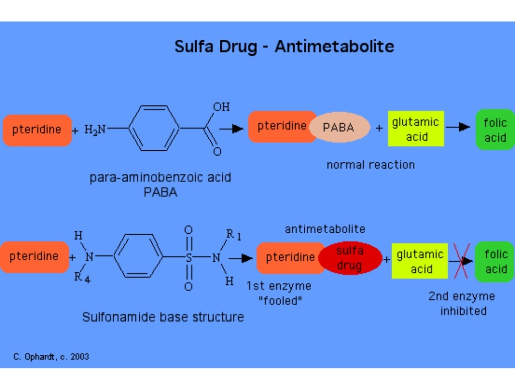 Sulfonamides and trimethoprim
