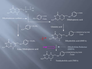 Sulfonamides and trimethoprim | PPTX