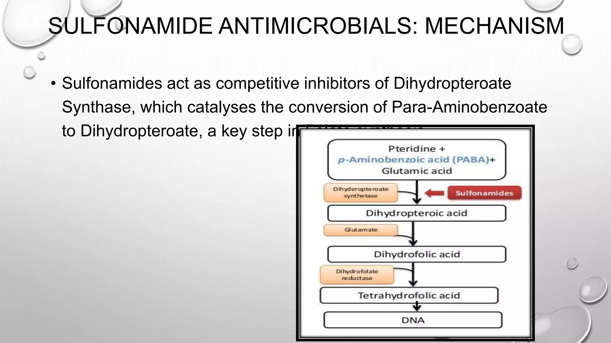 Sulfonylureas & Sulfa allergy | PPTX