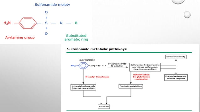 Sulfonylureas & Sulfa allergy | PPTX