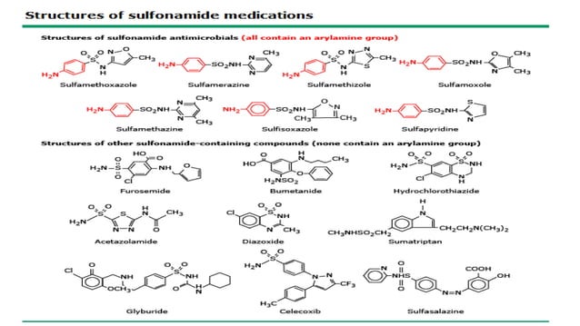 Sulfonylureas & Sulfa allergy | PPTX
