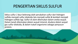 Daur Belerang (Siklus Sulfur) | PPTX