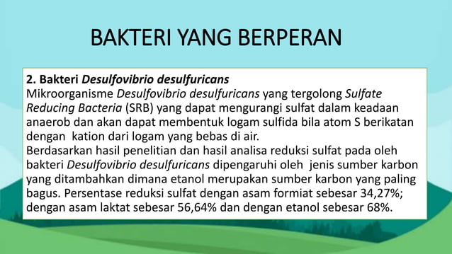 Daur Belerang (Siklus Sulfur) | PPTX