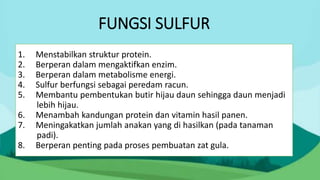 Daur Belerang (Siklus Sulfur) | PPTX