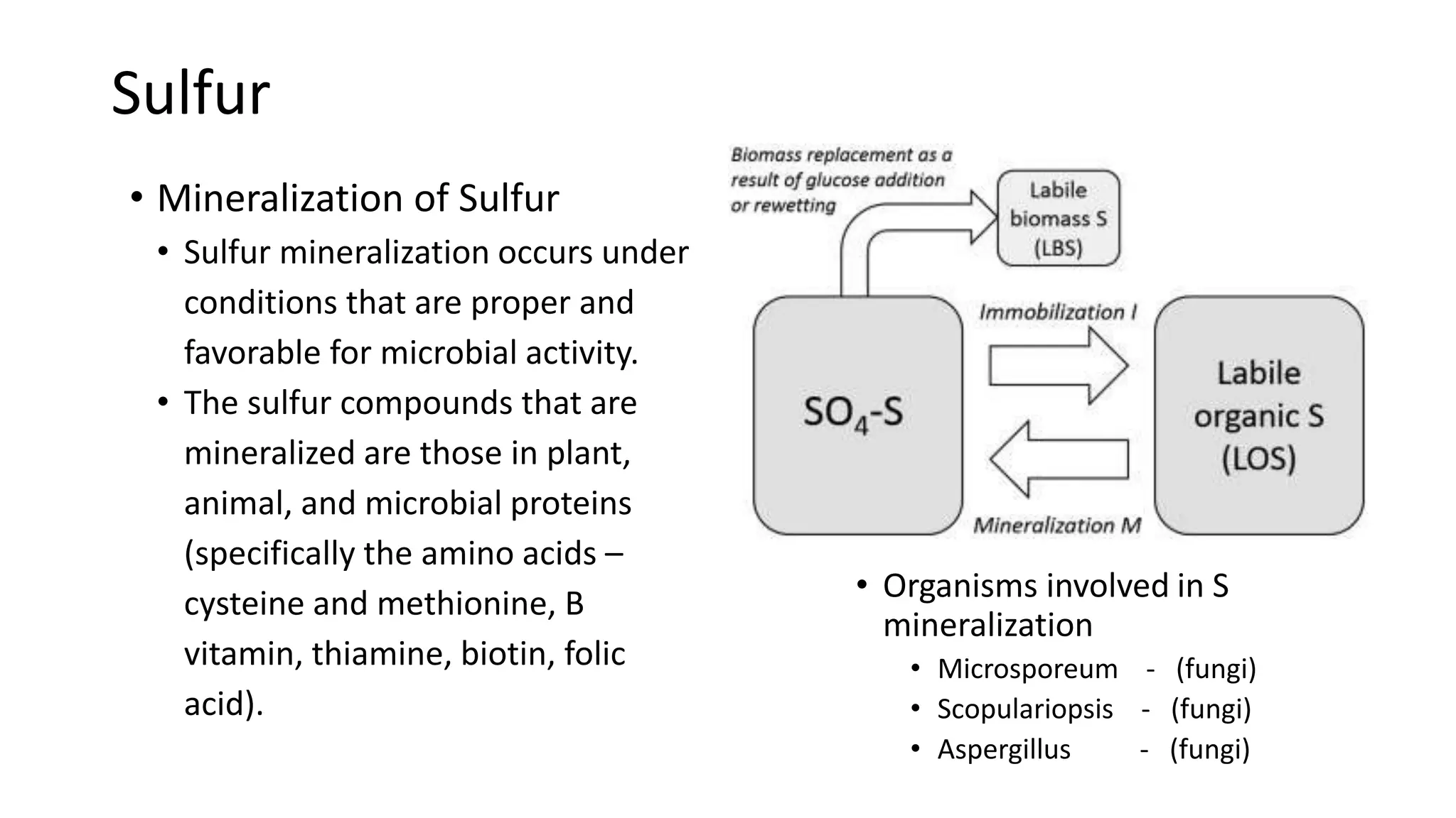 sulfur.pptx