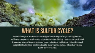 SULFUR-CYCLE.ishshdudbeisgsisbishsijsjsjsj | PPTX