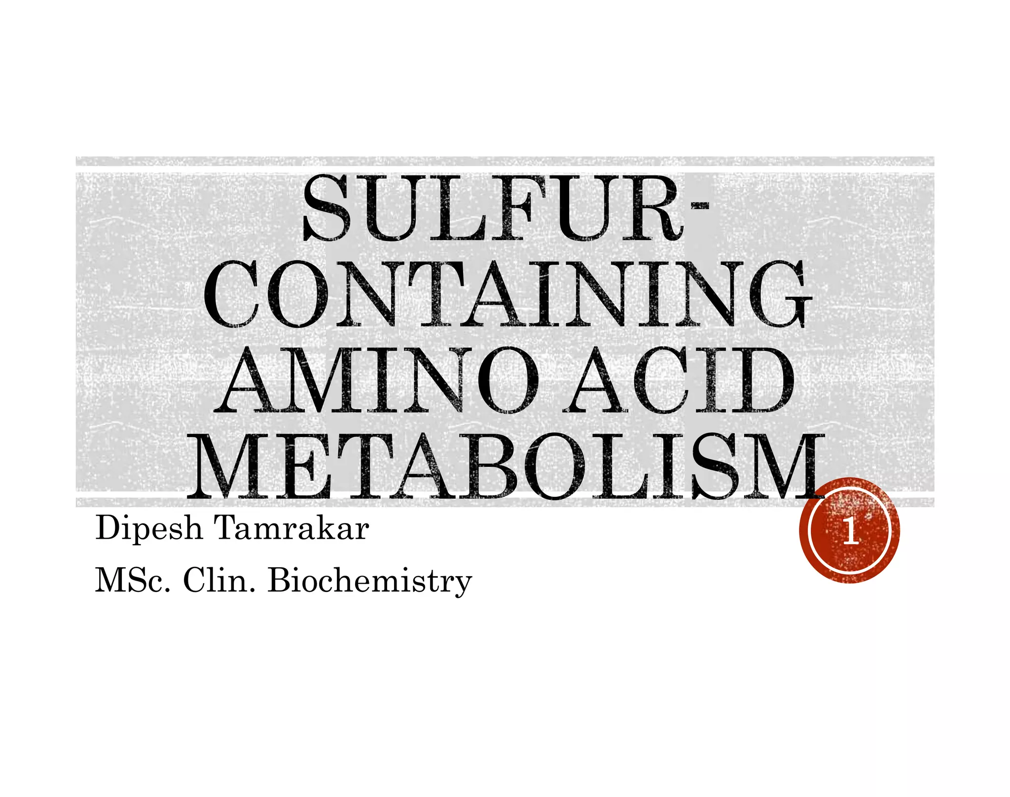 Sulfur containing amino acid metabolism | PPTX