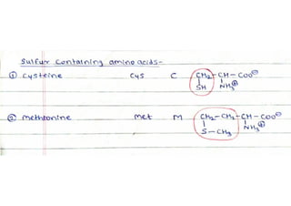 Sulfur containing Amino acids | PDF