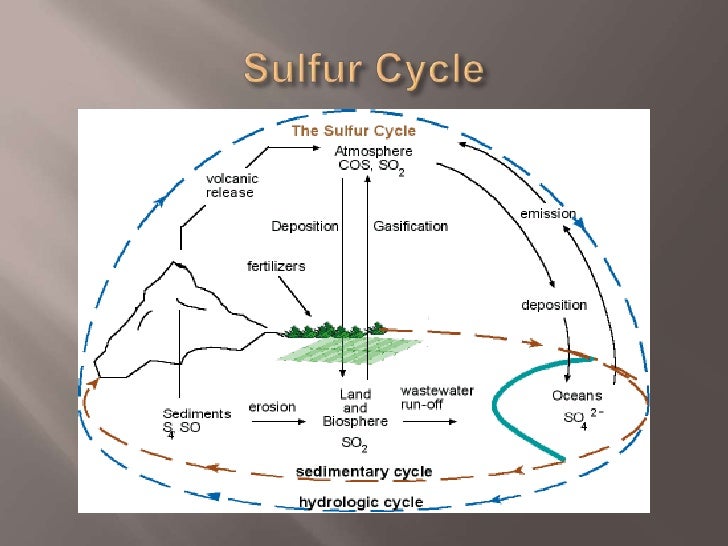 Sulfur Cycle Steps