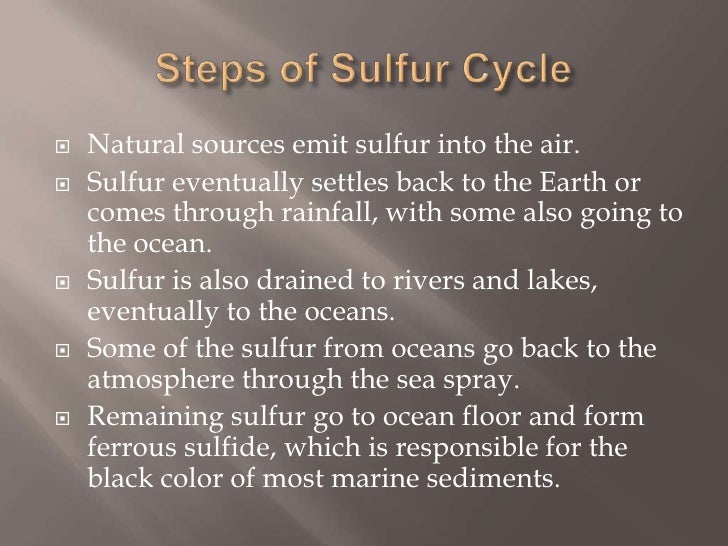 Sulfur Cycle Steps