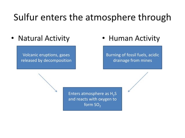 Sulfur cycle | PPT