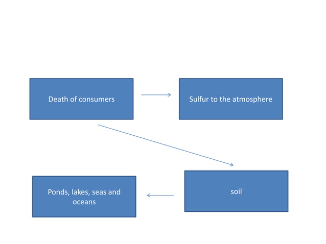Sulfur cycle | PPT