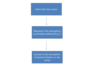 Sulfur cycle | PPT