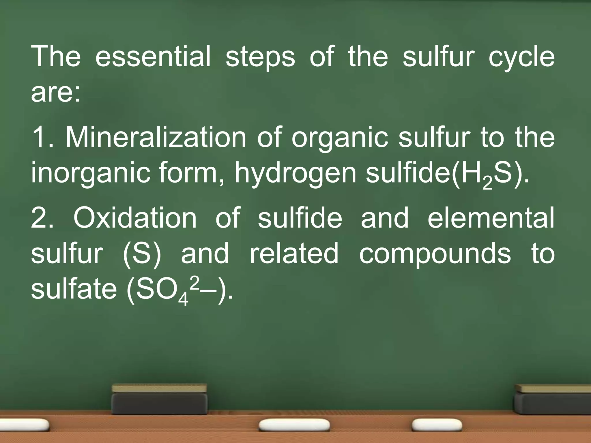Sulfur cycle | PPTX