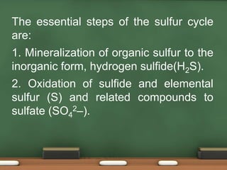 Sulphur Cycle Animation