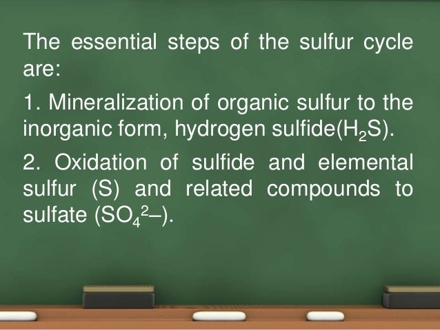 Sulfur Cycle Steps