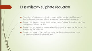 Sulfur cycle | PPTX