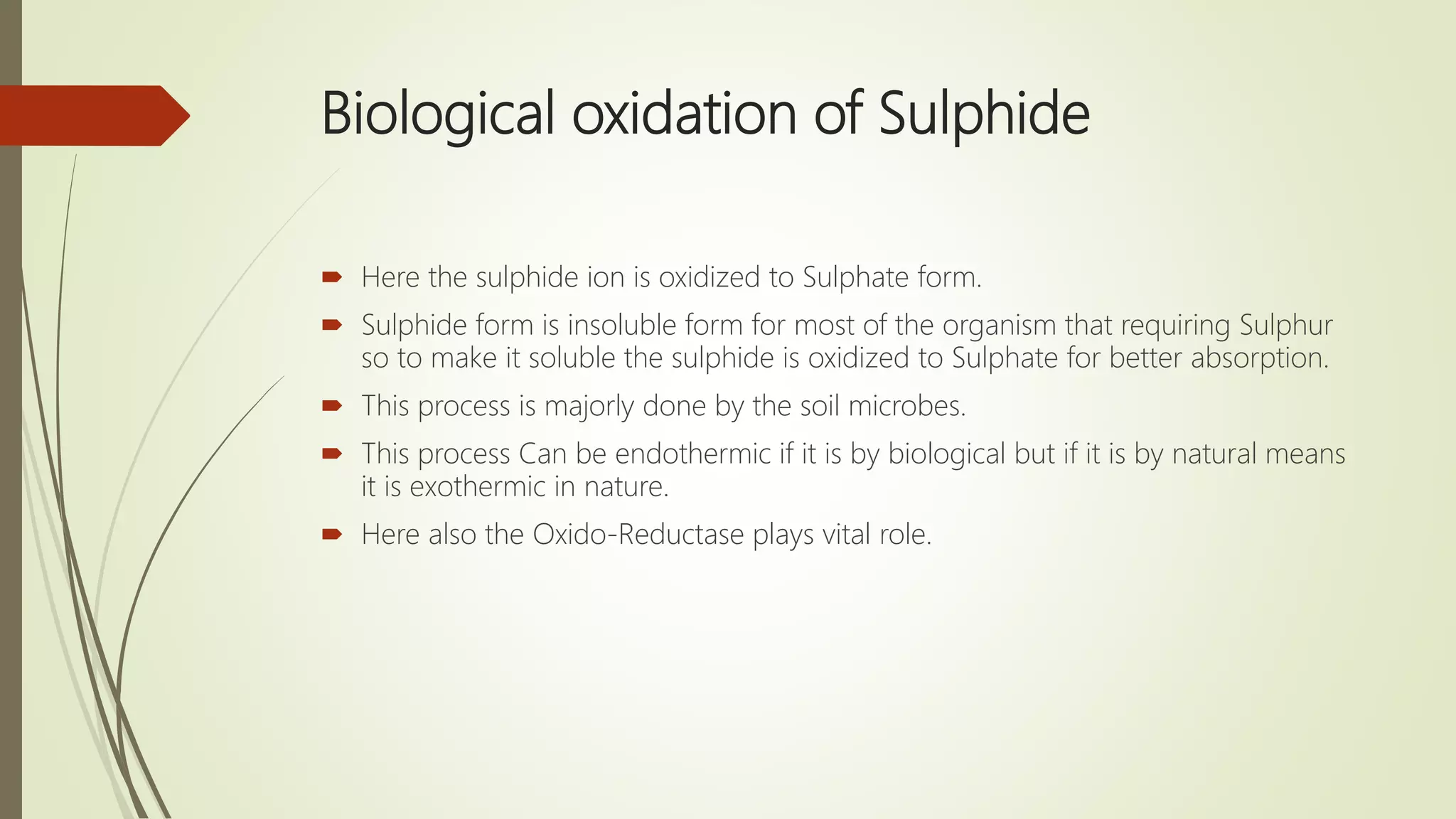 sulfurcycle-190707073010 (1).pdf