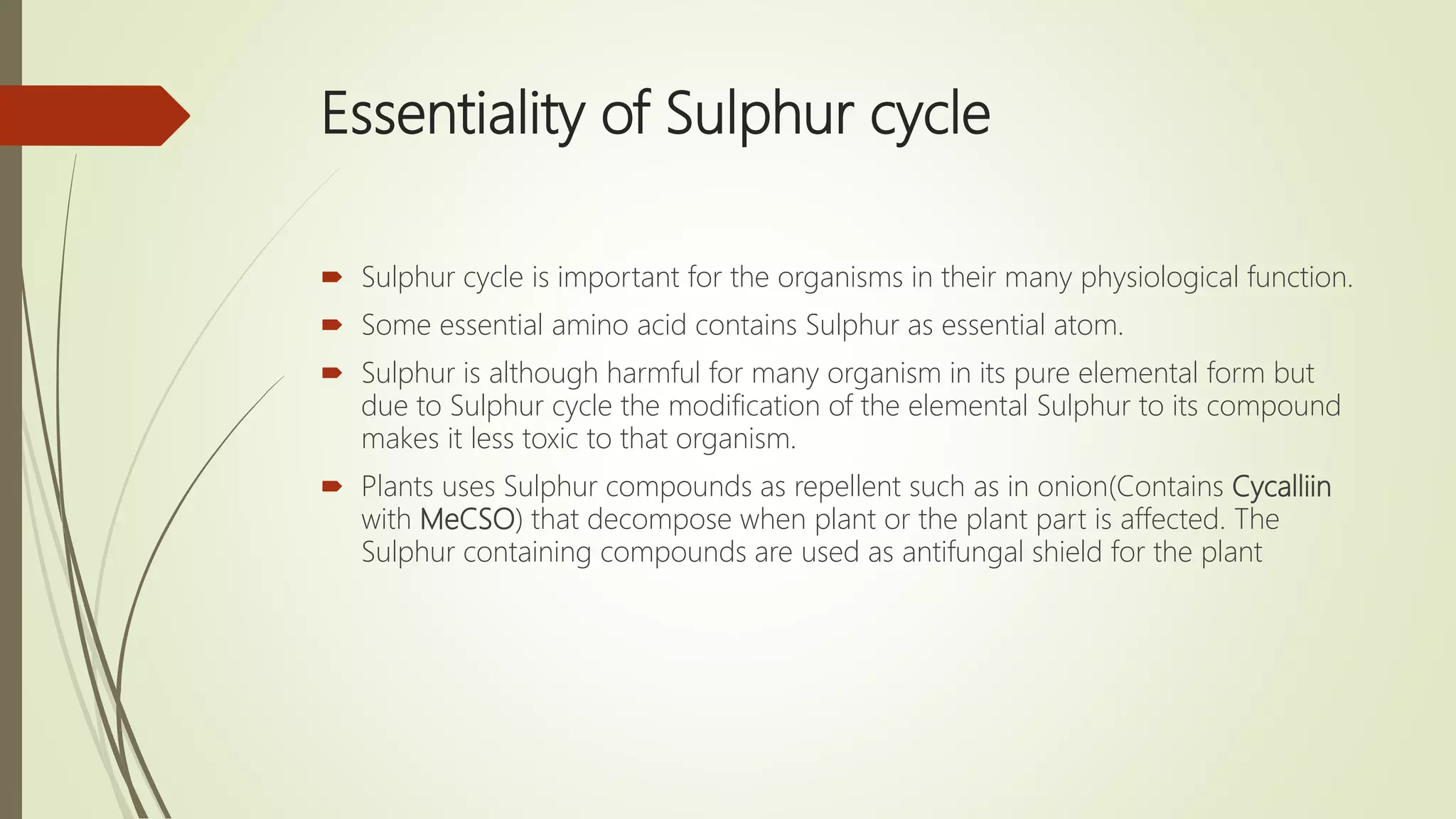 sulfurcycle-190707073010 (1).pdf