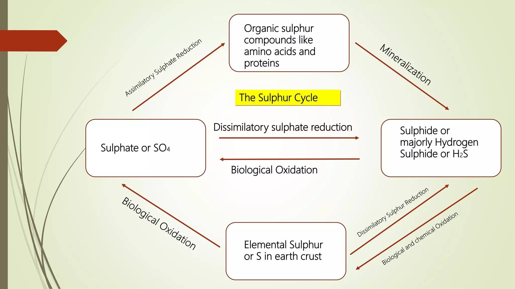 sulfurcycle-190707073010 (1).pdf