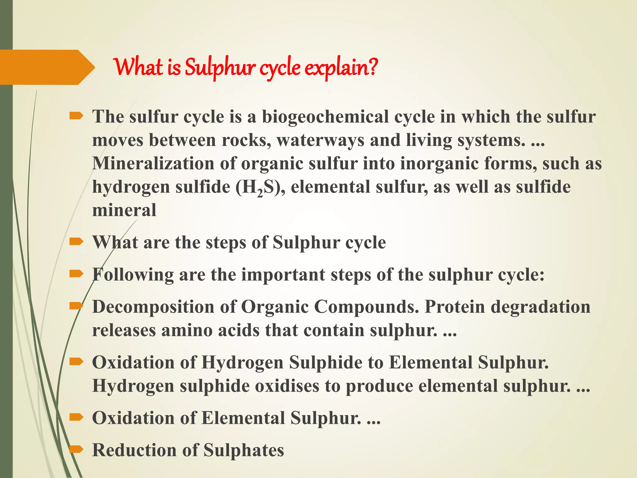 sulfur cycle.pptx