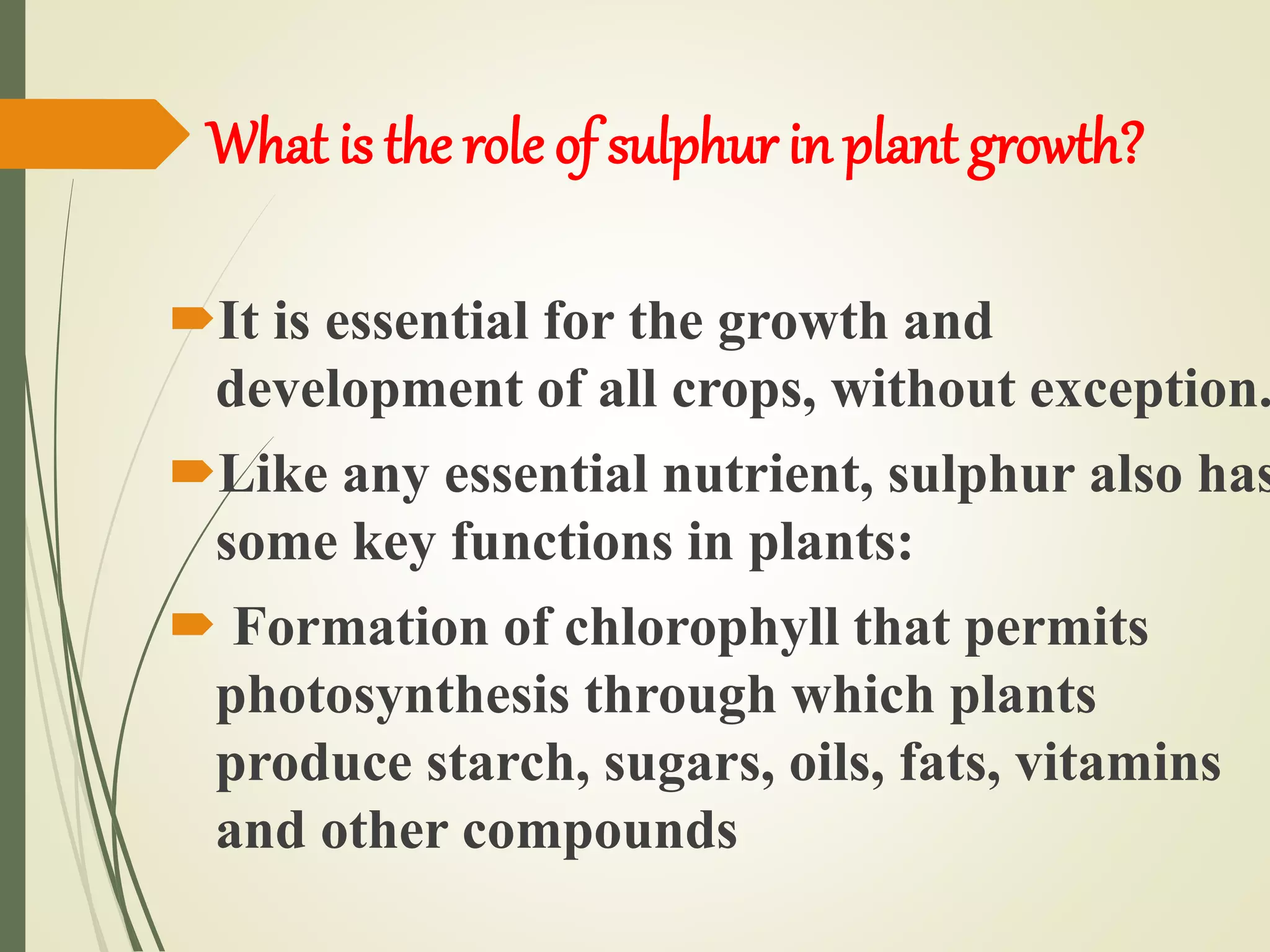 sulfur cycle.pptx