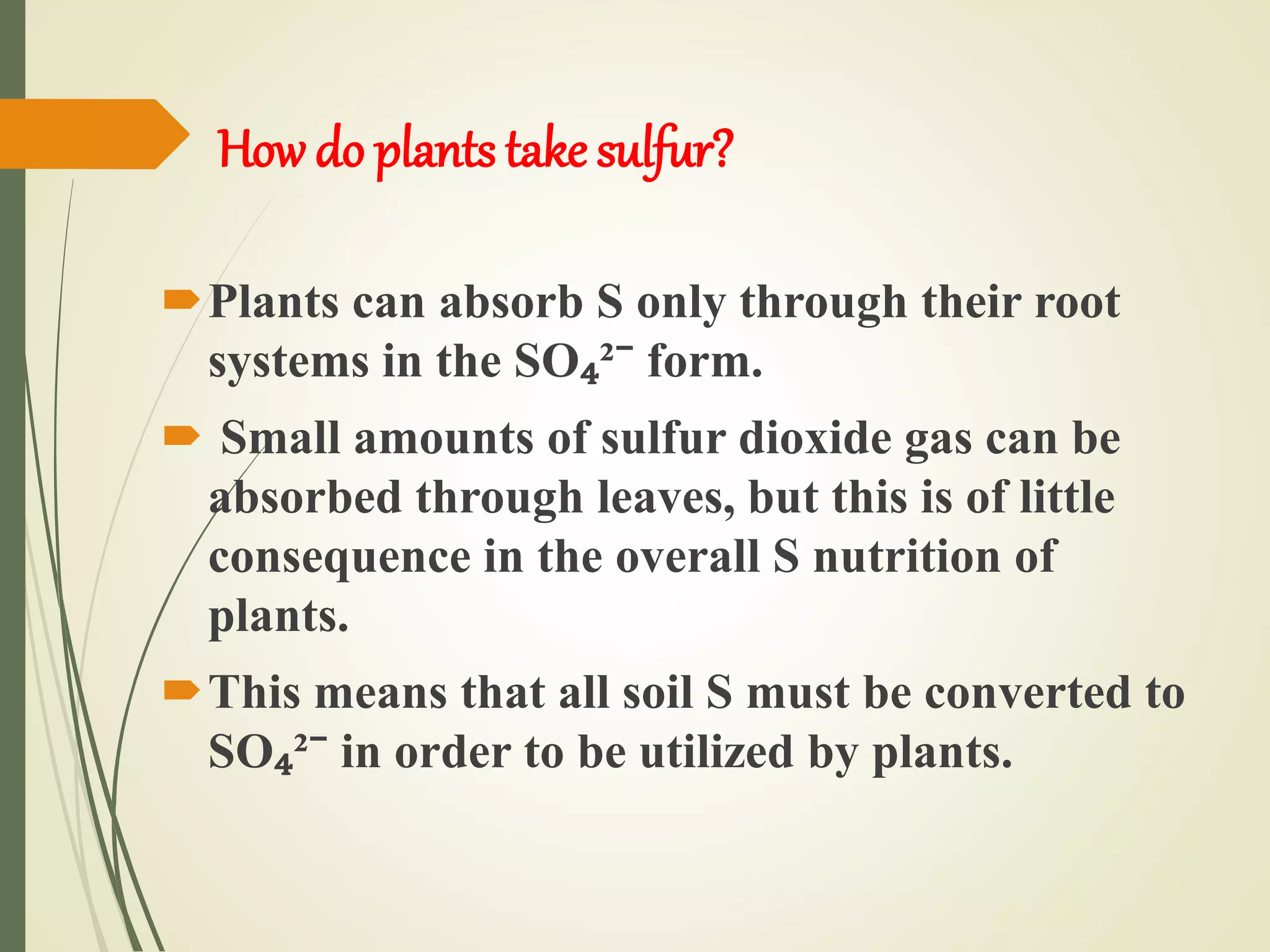 sulfur cycle.pptx