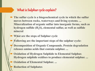 sulfur cycle.pptx
