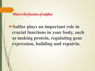 sulfur cycle.pptx