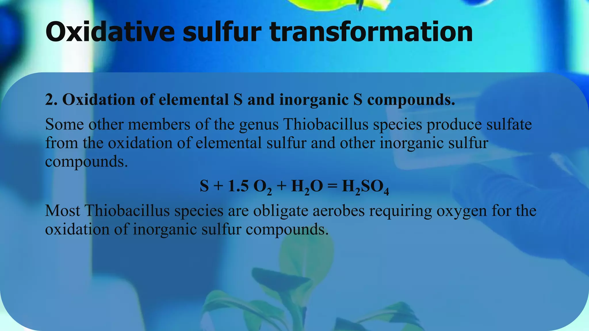 Sulfur Cycle.pptx