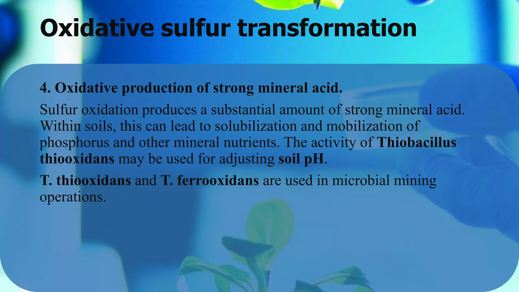 Sulfur Cycle.pptx